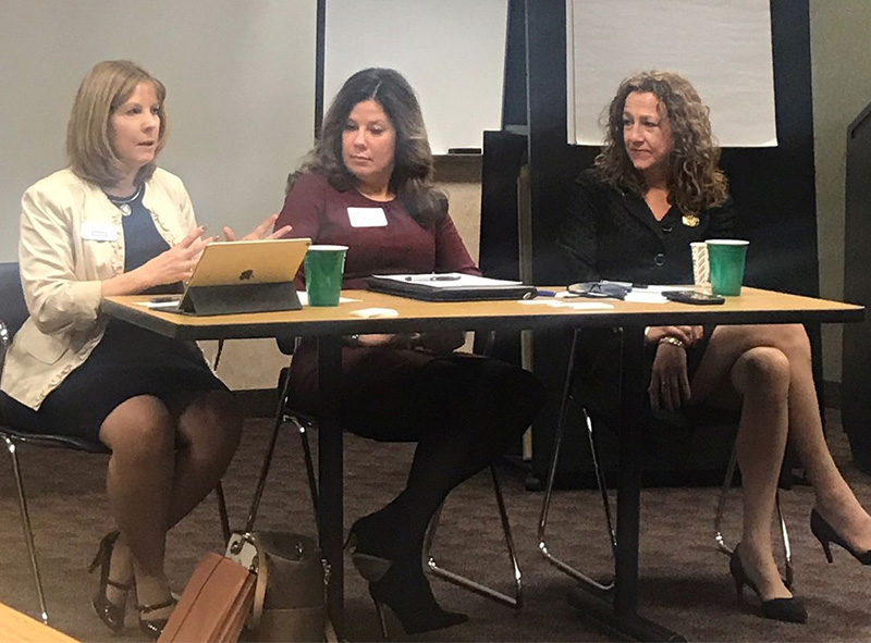 Connie Carr Panel Speaker - Lawyers - Cleveland - Westlake, Ohio